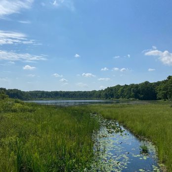 PINCKNEY RECREATION AREA - Updated November 2025 - 35 Photos & 26 ...