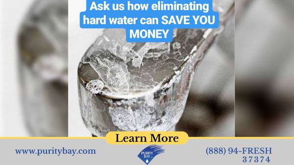 PURITY BAY - Updated January 2025 - 157 Photos - 8213 Ulmerton Rd, Largo, Florida - Water ...