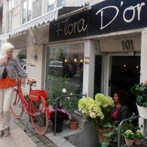 FIOL BLOMSTER - Fiolstræde 18, København, Denmark - Florists - Phone ...