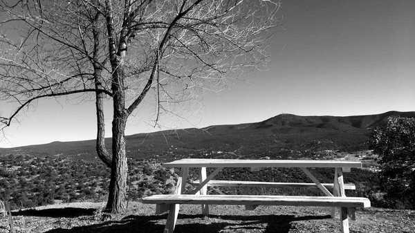 CARLITO SPRINGS - 91 Photos & 25 Reviews - 82 Carlito Springs Rd, Cedar ...