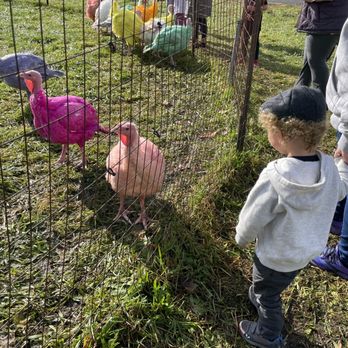 GOZZI’S TURKEY FARMS - Updated December 2025 - 53 Photos & 31 Reviews ...
