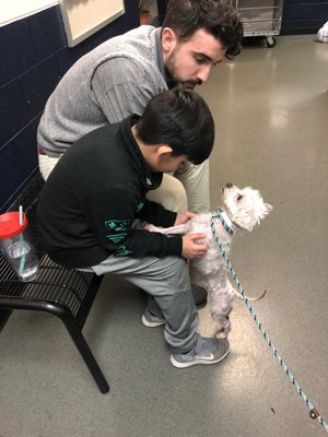 CMPD ANIMAL CARE AND CONTROL - 27 Photos & 18 Reviews - Animal Shelters ...