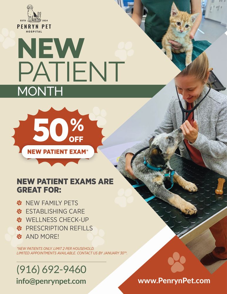 PENRYN PET HOSPITAL - Updated January 2026 - 52 Photos & 20 Reviews ...