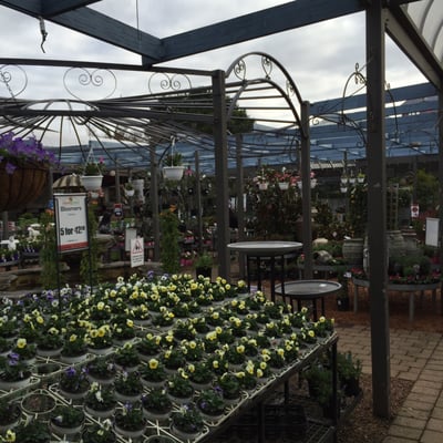 FLOWER POWER ENFIELD - Updated October 2025 - 27 Mitchell St, Enfield ...