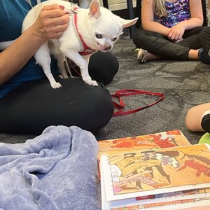 BUCKS COUNTY FREE LIBRARY - Updated June 2025 - 14 Reviews - 150 S Pine ...