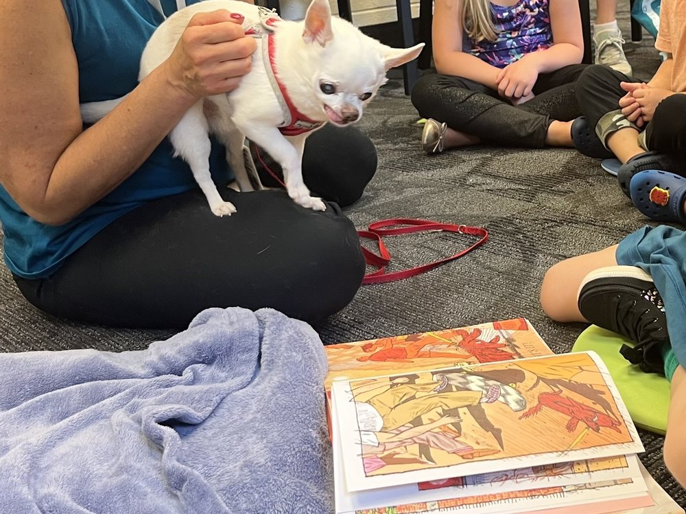 BUCKS COUNTY FREE LIBRARY - Updated September 2025 - 301 S Pine St ...