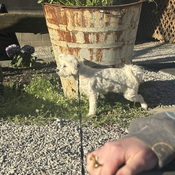 LOFLIN YARD - Updated October 2025 - 321 Photos & 250 Reviews - 7 W ...