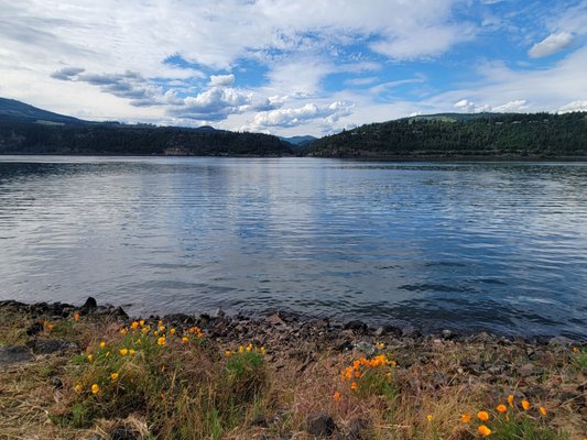 HOOD RIVER WATERFRONT PARK - 98 Photos & 35 Reviews - 400 N Portway St ...