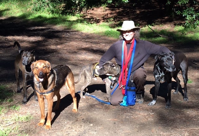 UNCLE DAVE’S PET CARE - Updated January 2025 - Berkeley, California ...