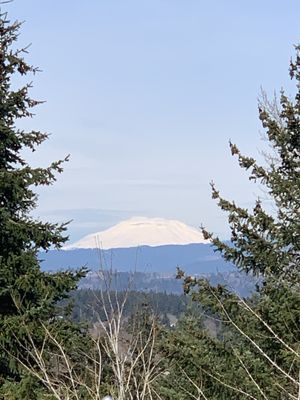 POWELL BUTTE NATURE PARK - 300 Photos & 70 Reviews - 16160 SE Powell ...