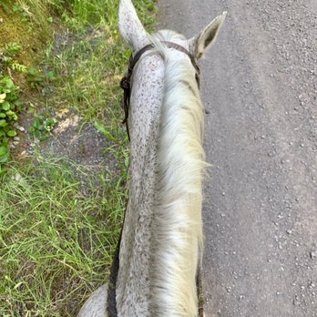 RED HAWK STABLES - Updated August 2025 - 22 Photos & 15 Reviews - 1445 ...