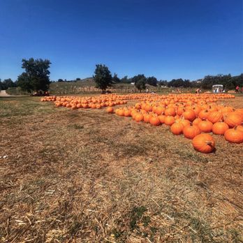 BATES NUT FARM - Updated September 2024 - 1670 Photos & 515 Reviews ...