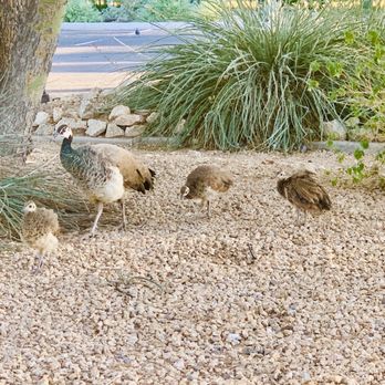 GLENDALE PUBLIC LIBRARY - Updated February 2025 - 89 Photos & 19 ...