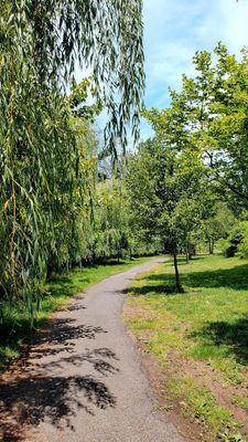 MEISEL PARK - Updated August 2025 - 278 Meisel Ave, Springfield ...