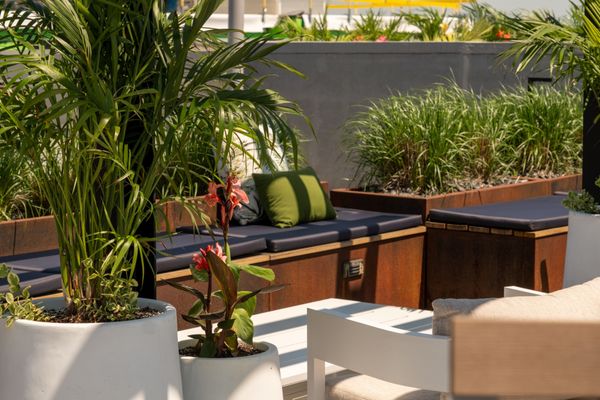 COAT ROOM - Updated December 2025 - 105 Photos & 48 Reviews - 385 ...