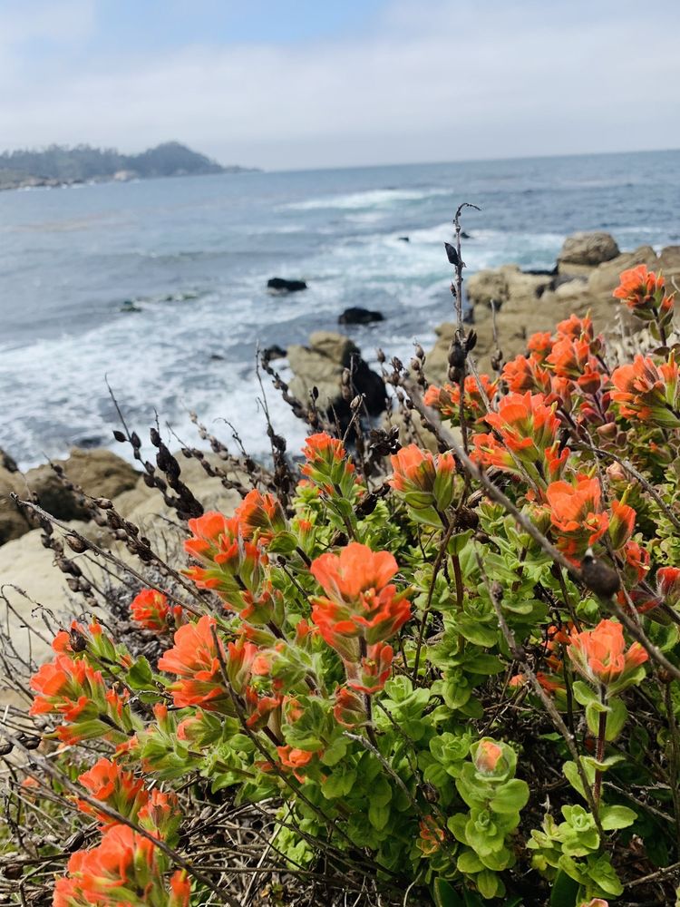 MONASTERY BEACH - Updated February 2025 - 231 Photos & 63 Reviews ...