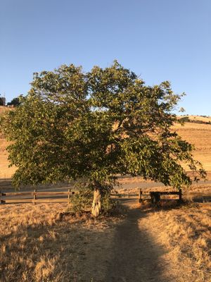 GROESBECK HILL PARK - Updated June 2024 - 112 Photos & 37 Reviews ...