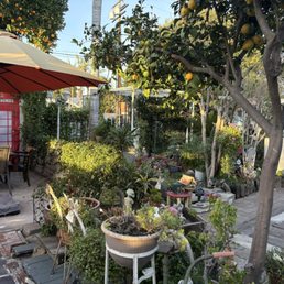 THE CLASSIC CAFE - Updated July 2025 - 819 Photos & 301 Reviews - 419 ...