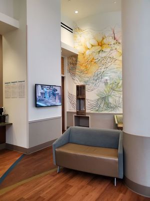 STRAUB BENIOFF - WARD VILLAGE CLINIC & URGENT CARE - Updated December ...