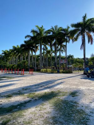 PINTO’S FARM - 428 Photos & 146 Reviews - 14890 SW 216th St, Miami ...