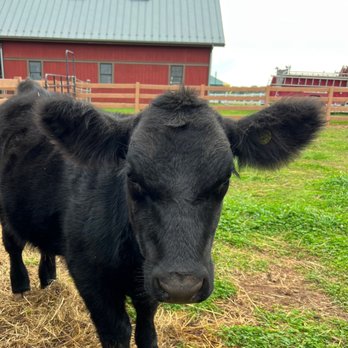 TEMPLE HALL FARM PARK - Updated October 2025 - 57 Photos & 25 Reviews ...