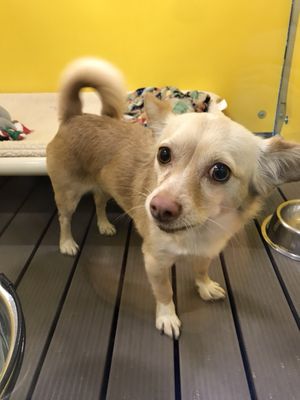 BAY VIEW BARK - Updated October 2024 - 61 Photos & 40 Reviews - 1820 S ...