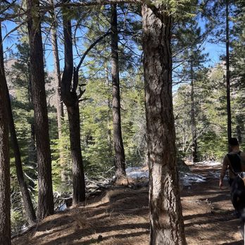 HUNTER CREEK WATERFALL TRAIL - Updated December 2025 - 388 Photos & 71 ...