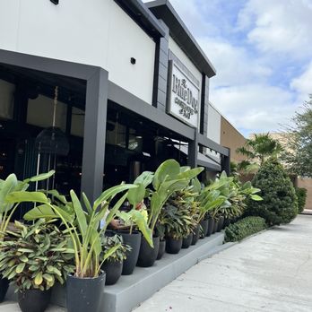 THE BLUE DOG COOKHOUSE AND BAR - Updated May 2024 - 399 Photos & 182 ...