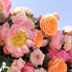 MONTECITO FLOWERS - 14 Photos & 22 Reviews - 1200 Coast Village Rd ...