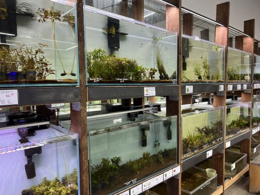 CK FISH WORLD - Updated March 2025 - 438 Photos & 461 Reviews - 541 ...