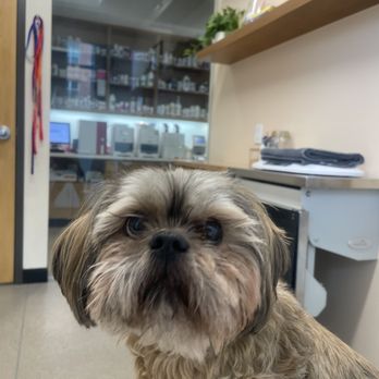 SPLOOT VETERINARY CARE - PLATT PARK - Updated December 2025 - 50 Photos ...