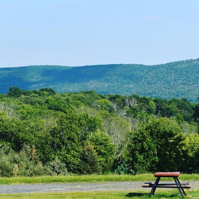 CAMP OUT POCONOS - Updated October 2025 - 13 Photos & 15 Reviews - 446 ...