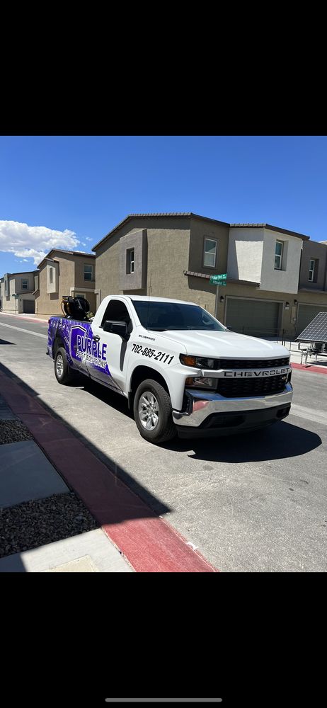 PURPLE PEST SOLUTIONS - Updated December 2025 - 31 Photos & 77 Reviews ...