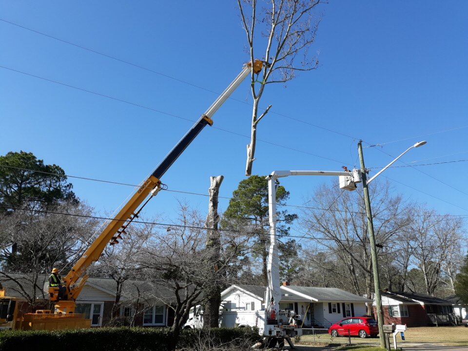 NBC TREE SERVICES - Updated January 2026 - 27 Photos - 2201 Hope Mills ...