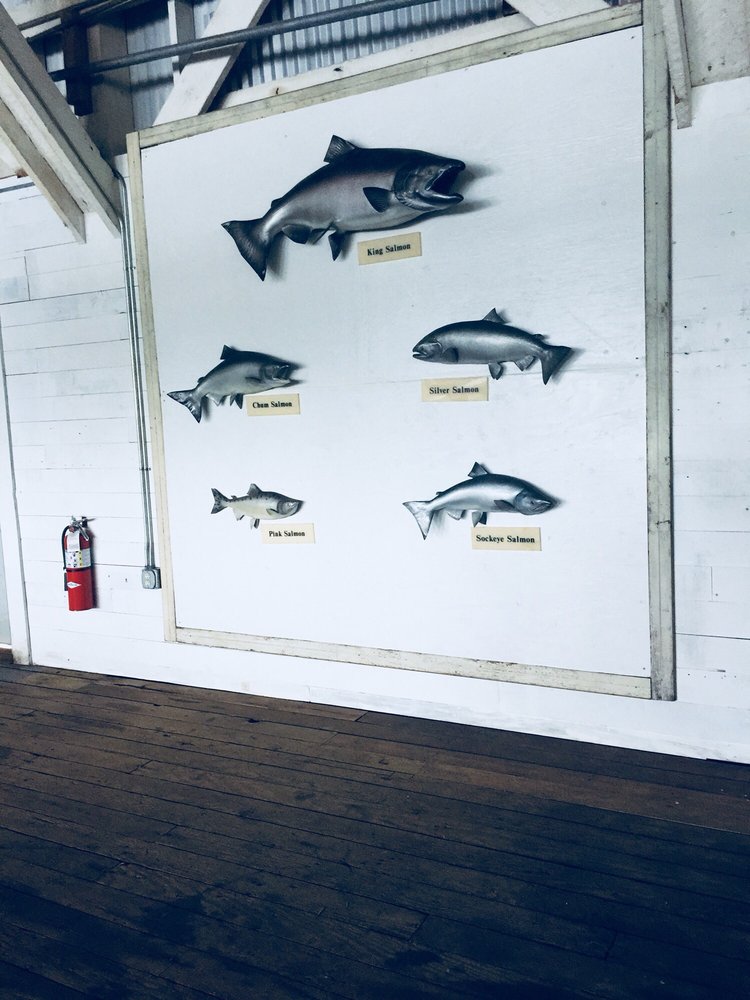 GEORGE INLET CANNERY - 10 Photos - 13194 S Tongass Hwy, Ketchikan ...