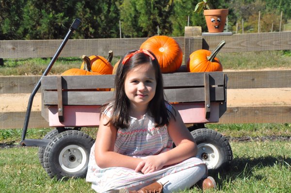 KINSEY FAMILY FARM - Updated December 2025 - 42 Photos & 50 Reviews ...