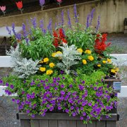 BUTLER’S ORCHARD - 524 Photos & 315 Reviews - Farmers Market - 22222 ...