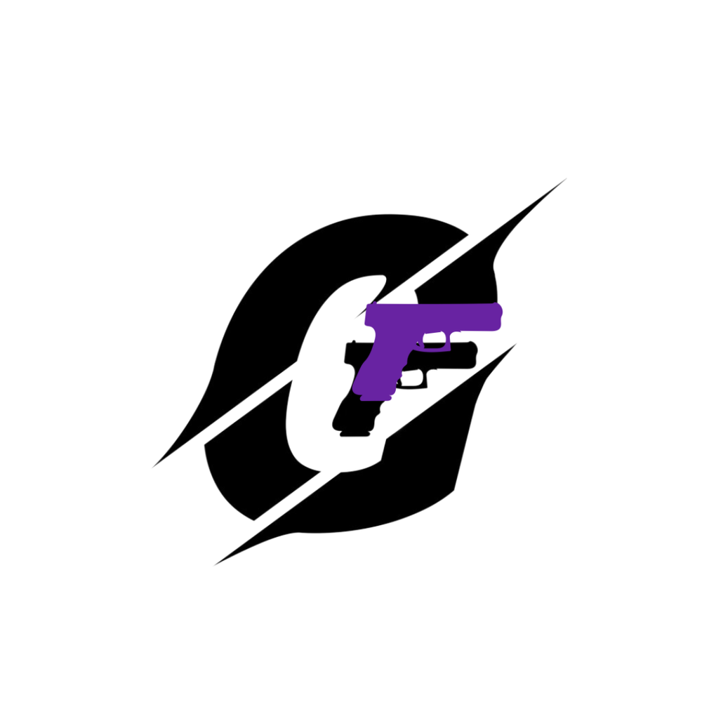 GAYLE’S FUTURISTIC FIRE - 5901 Poplin Ct, Lithonia, Georgia - Gun/Rifle ...