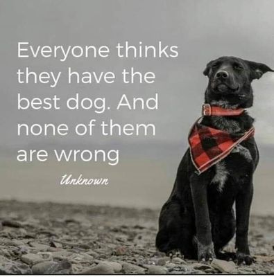 CASCADE ROCK - Updated December 2025 - 56 Photos & 95 Reviews - 8585 ...