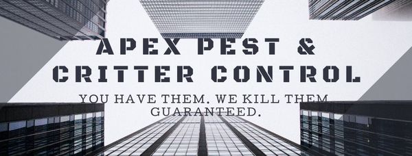 APEX PEST & CRITTER CONTROL - Updated July 2025 - Canton, Ohio - Pest ...