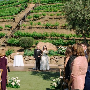 CIELO FARMS - Updated May 2024 - 312 Photos & 131 Reviews - 31424 ...