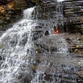 Chestnut Ridge Park - 141 Photos & 42 Reviews - Disc Golf - 6121 ...