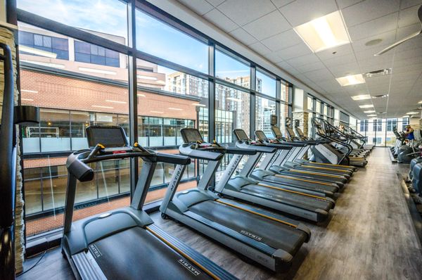 ONELIFE FITNESS - BALLSTON - Updated January 2026 - 74 Photos & 185 ...