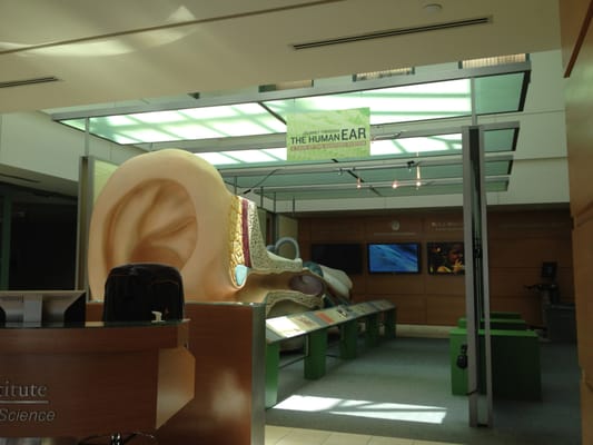 HOUSE CLINIC - Updated January 2026 - 18 Photos & 146 Reviews - 1245 ...