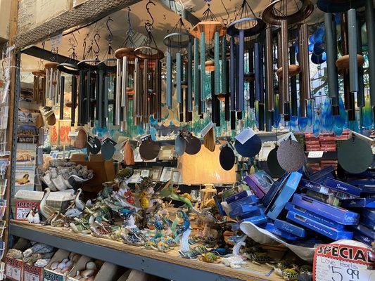 CALIFORNIA SEASHELL COMPANY - Updated December 2024 - 94 Photos & 95 ...