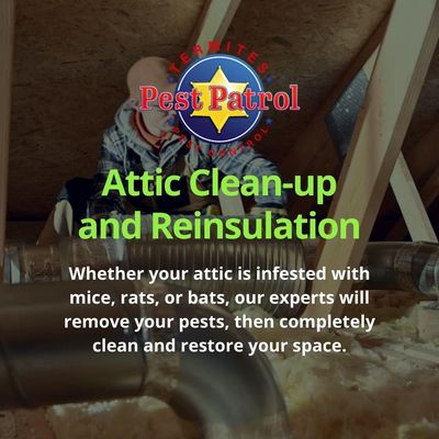 PEST PATROL - Updated December 2025 - 80 Photos & 115 Reviews - 9920 ...