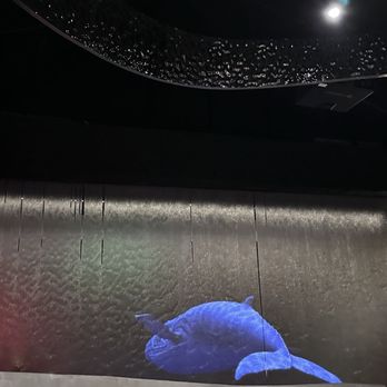 ARRAY 36 - Updated November 2024 - 1627 Photos & 428 Reviews - 5449 ...