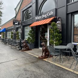 WHITE DOG CAFE - HAVERFORD - Updated December 2025 - 408 Photos & 330 ...