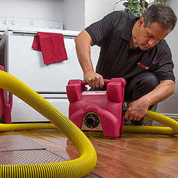 Puroclean Reviews | Read Customer Service Reviews of puroclean.com