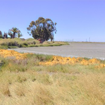 BAYLANDS NATURE PRESERVE - Updated December 2025 - 693 Photos & 112 ...
